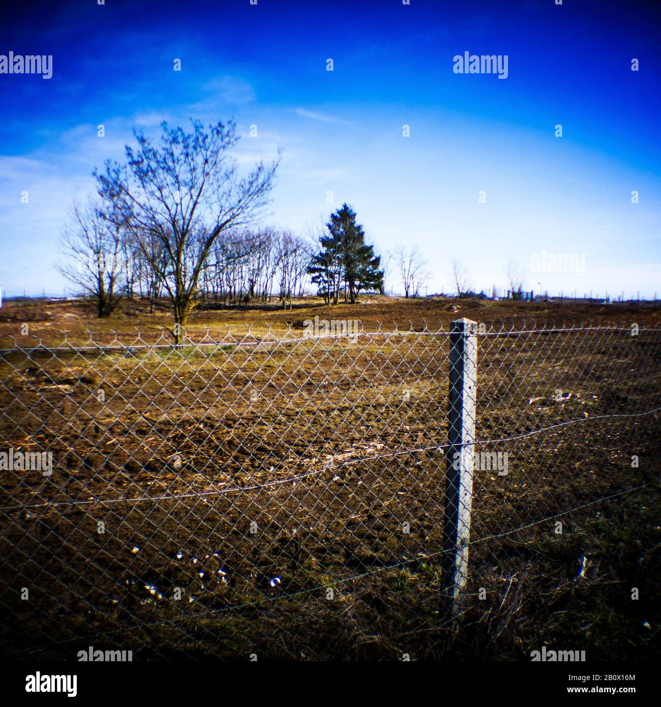 Metallic fence, Holga digital picture, Bron, France Stock Photo - Alamy