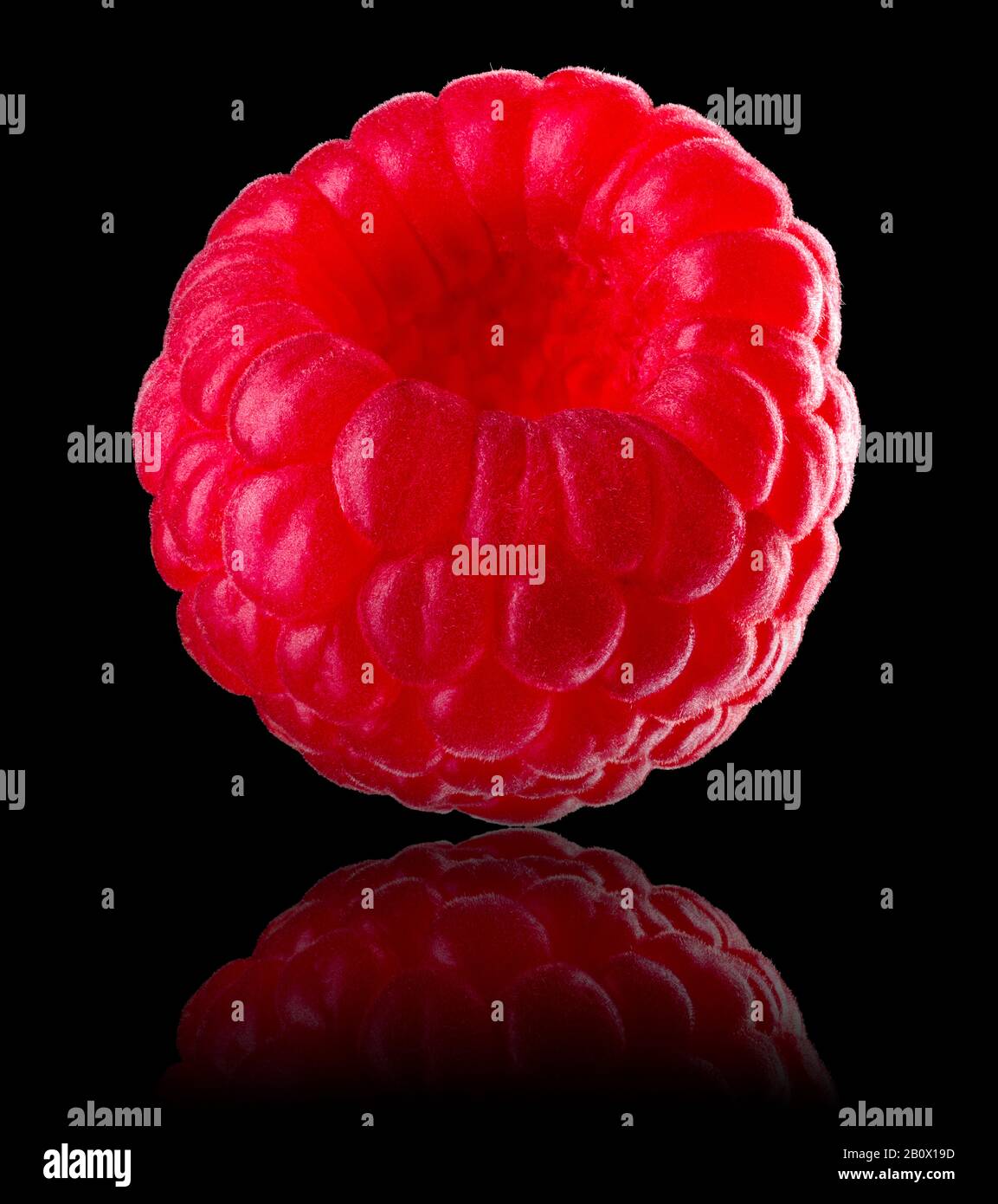 Macro photo of raspberry with reflection and clipping path isolated on ...