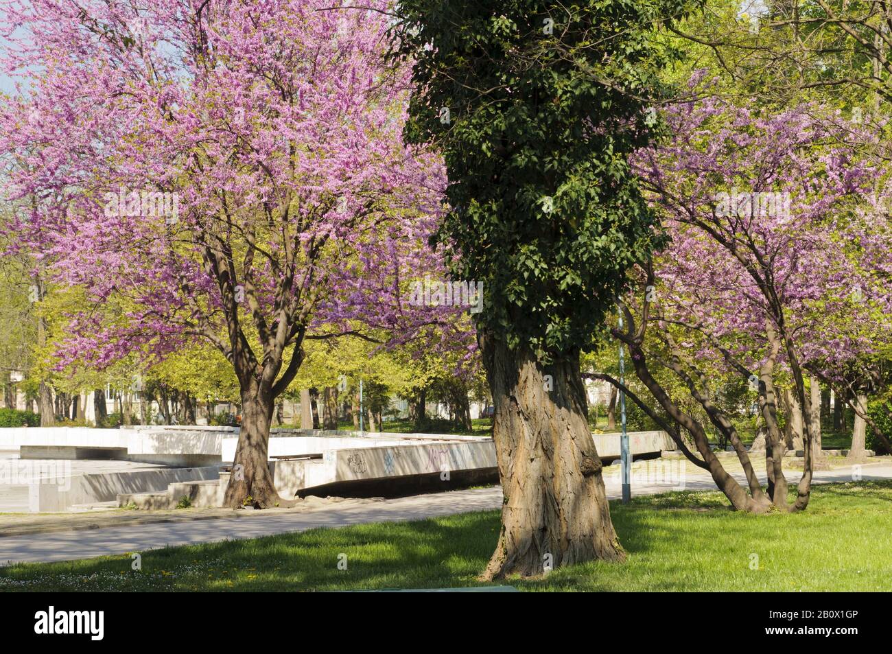 Plovdiv park hi-res stock photography and images - Alamy