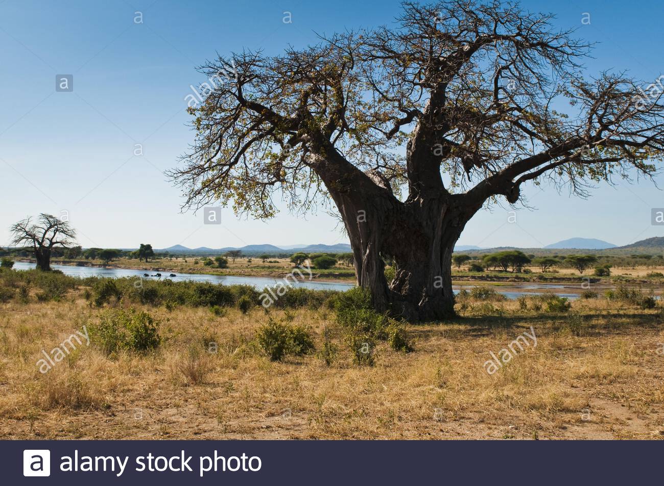 Iringa Tanzania Stock Photos & Iringa Tanzania Stock Images - Alamy