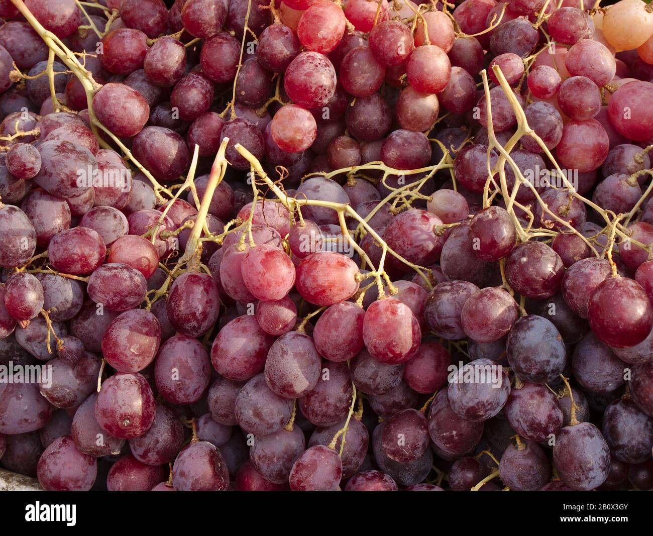 grapes on display at the market counter Stock Photo - Alamy
