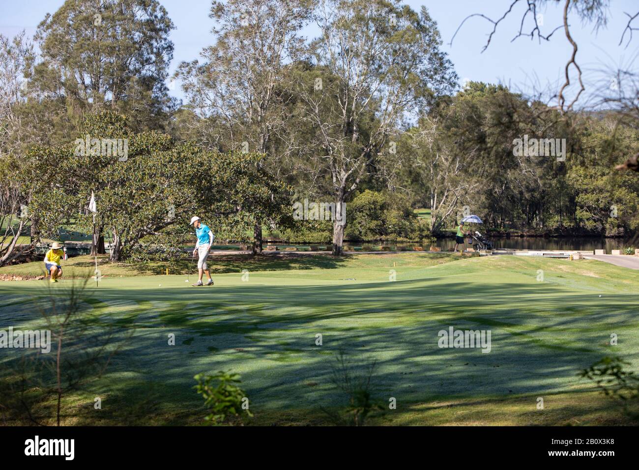 Ladies playing golf hi-res stock photography and images - Alamy