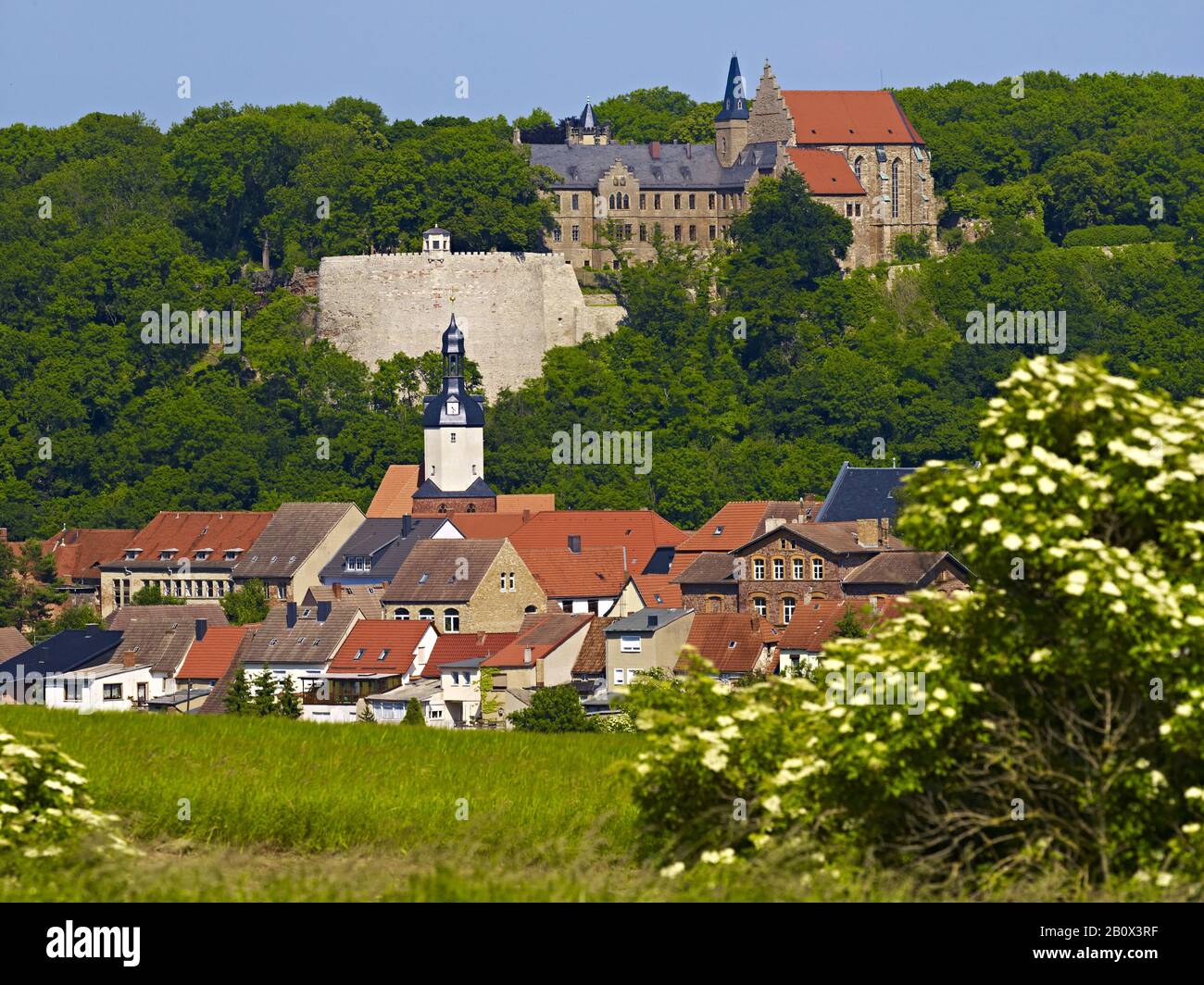 Mansfeld castle hi-res stock photography and images - Alamy