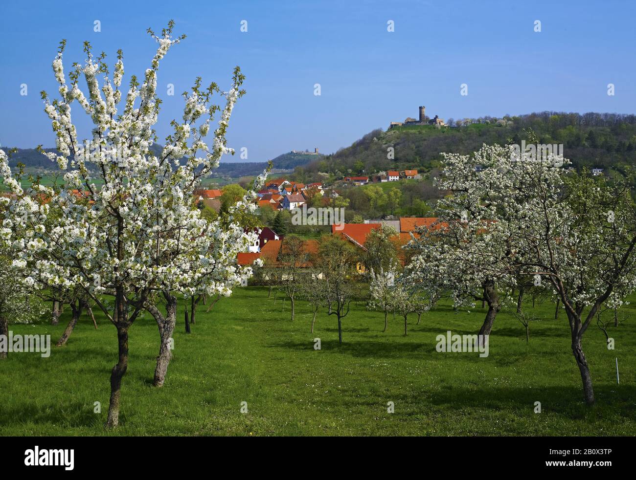 Muhlburg castle hi-res stock photography and images - Alamy