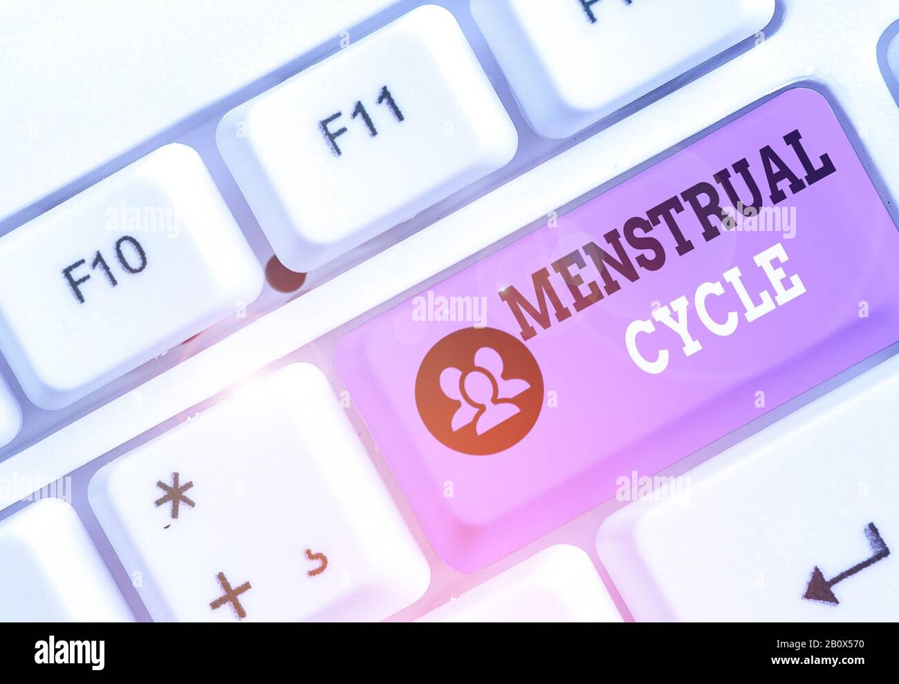 Word writing text Menstrual Cycle. Business photo showcasing monthly ...