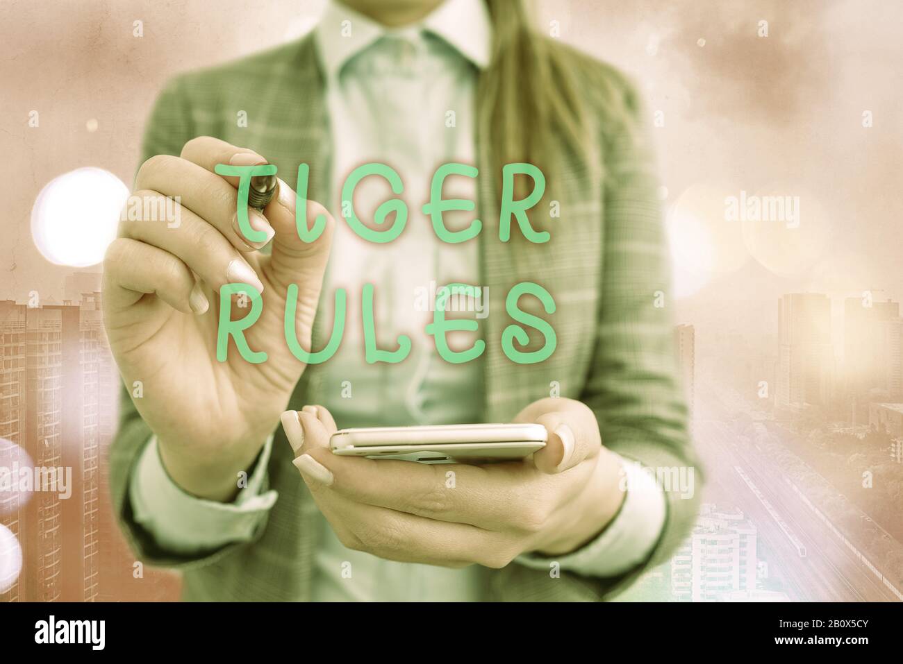 Text sign showing Tiger Rules. Business photo text Willpower and ...
