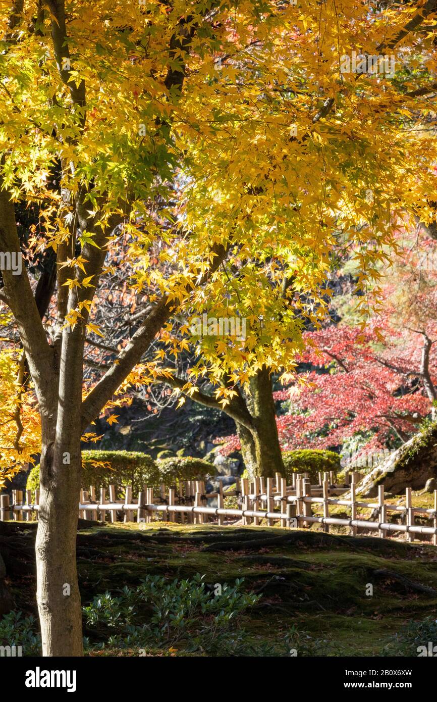 Exterior and fall foliage hi-res stock photography and images - Alamy