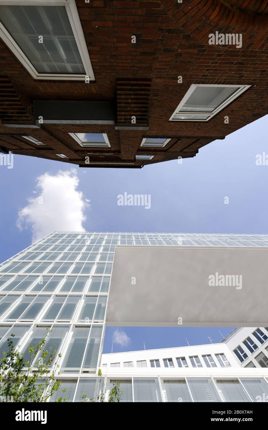 Ericus contor hi-res stock photography and images - Alamy