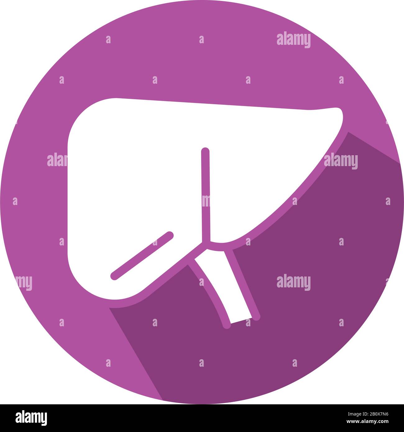 Normal Stomach High Resolution Stock Photography and Images - Alamy