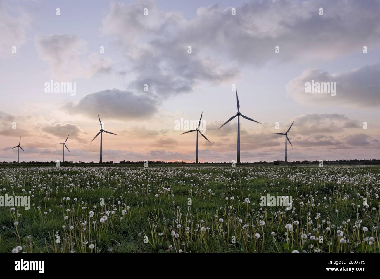 Wind farm at sunset Stock Photo - Alamy