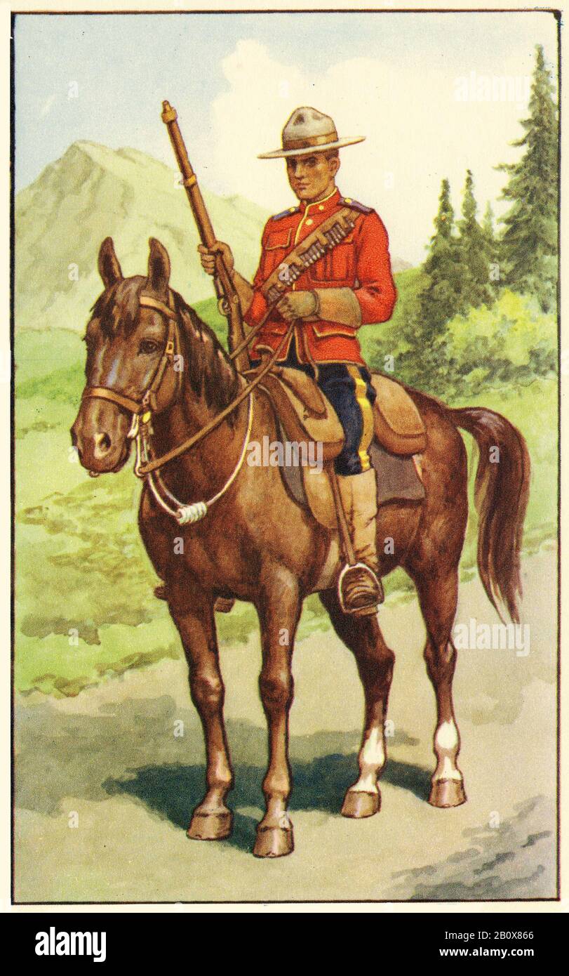 Canadian mounty horse hi-res stock photography and images - Alamy
