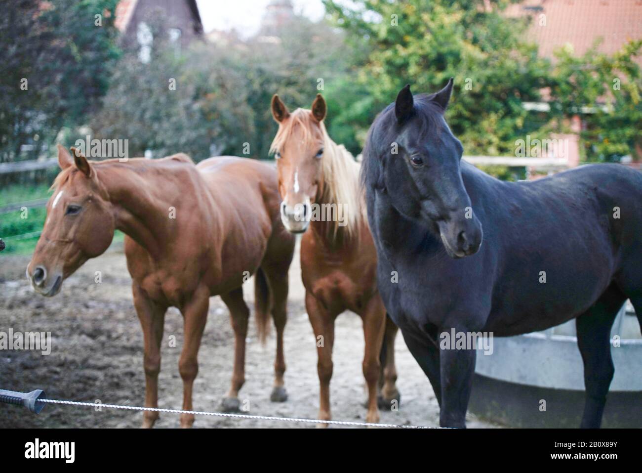 Gruppenaufnahme hi-res stock photography and images - Alamy