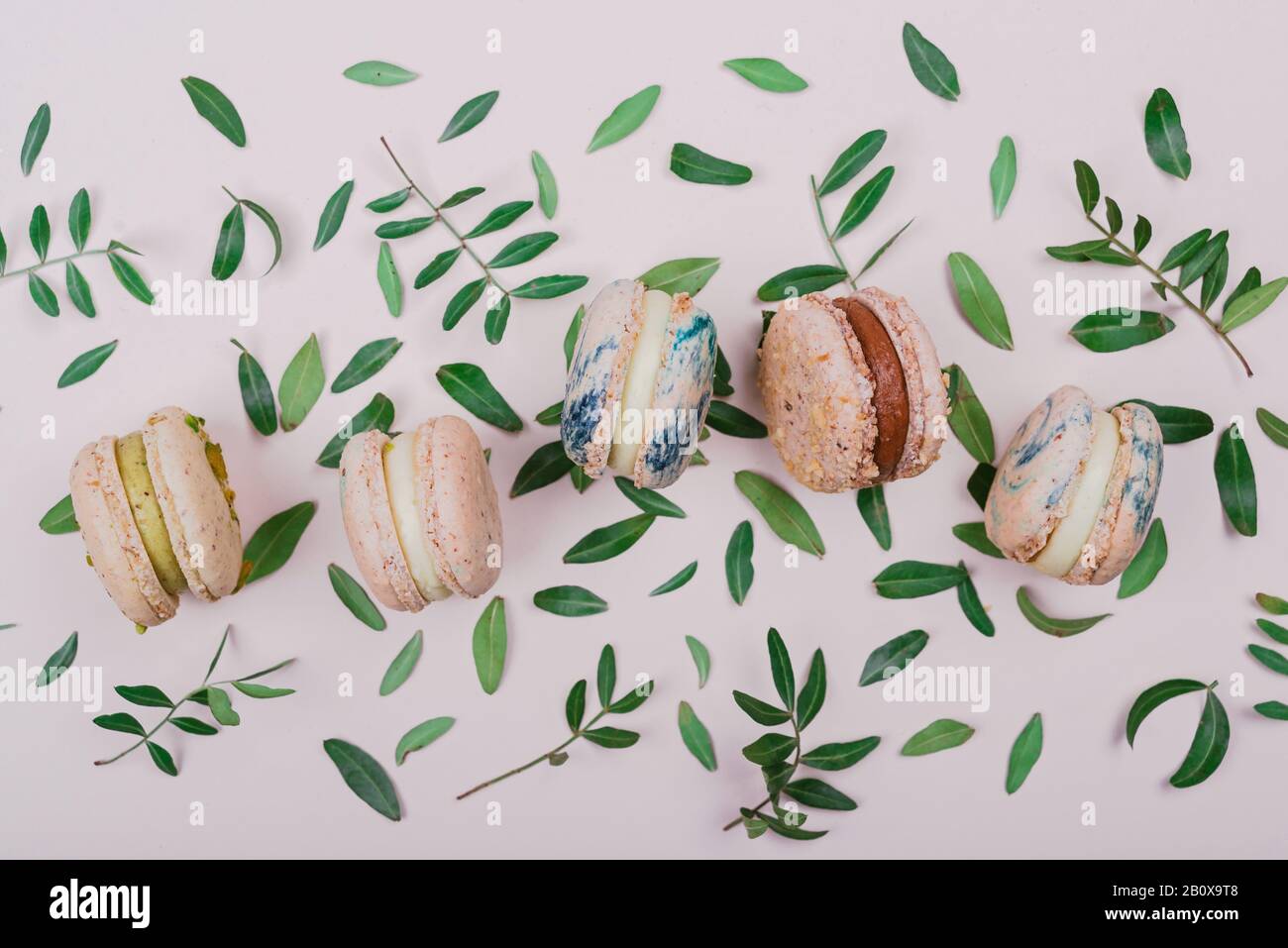 Assorted macaroons on pastel beige background with green leaves ...
