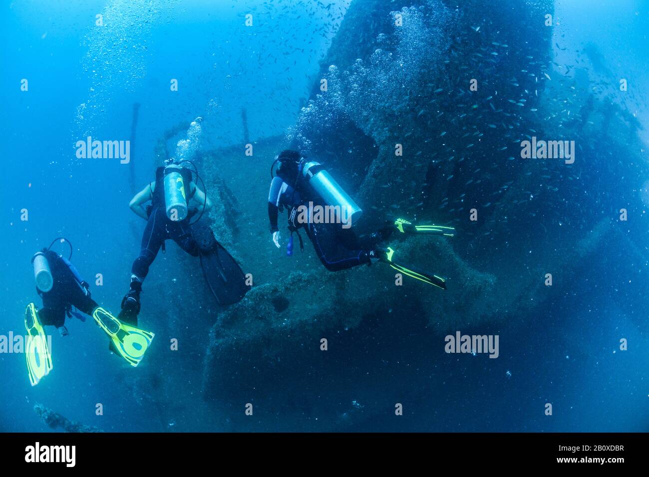 Divers exploring shipwreck Stock Photo - Alamy