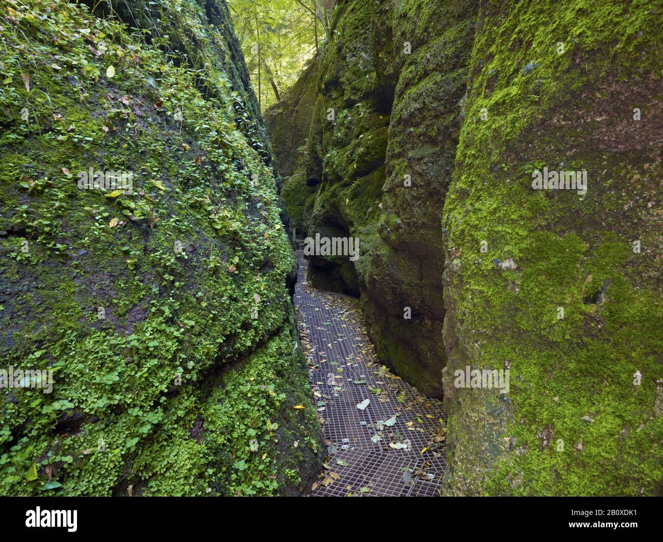 Dragon Gorge near Eisenach, Thuringia, Germany Stock Photo - Alamy