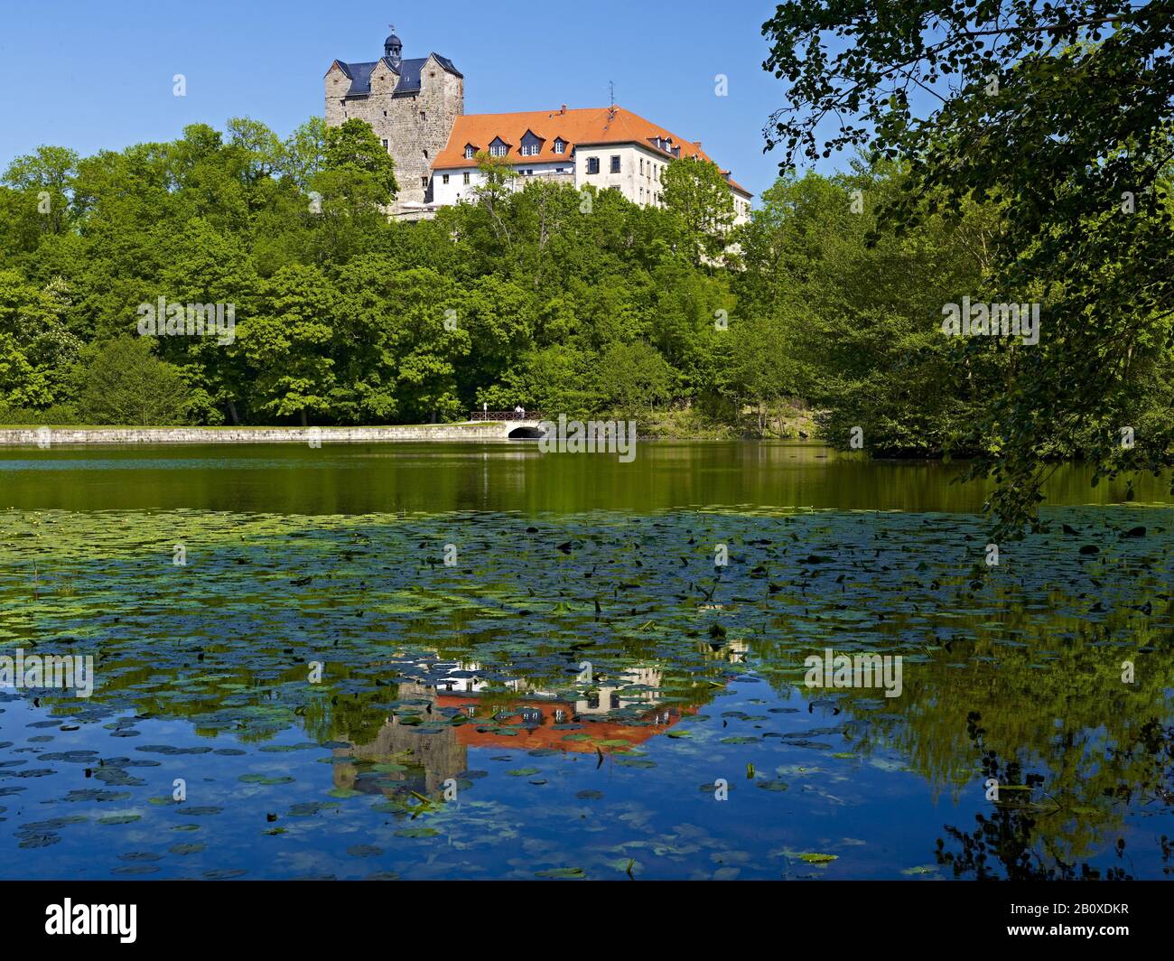 Pond germany german hi-res stock photography and images - Alamy
