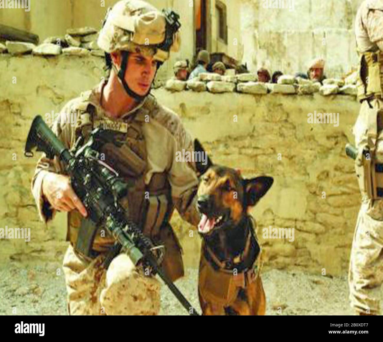 MAX 2015 Warner Bros film with Robbie Amell Stock Photo - Alamy