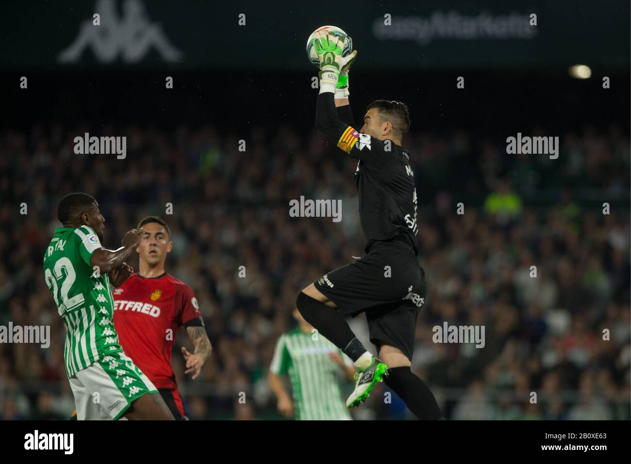 Sevilla, Spain. 21st Feb, 2020. MANOLO REINA DURING MATCH REAL BETIS VS ...