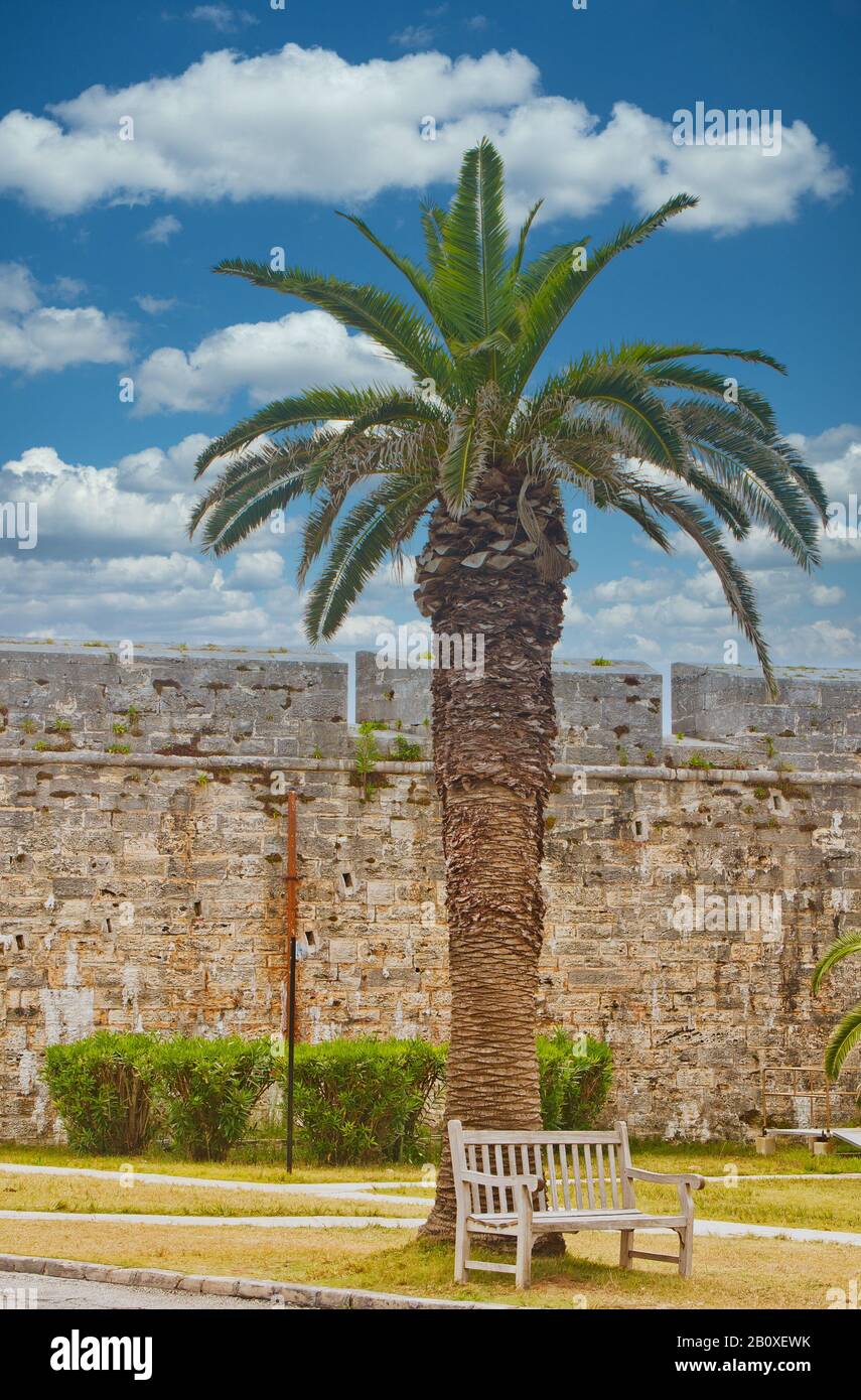 Bench Under Palm Tree and Stone Wall Stock Photo - Alamy