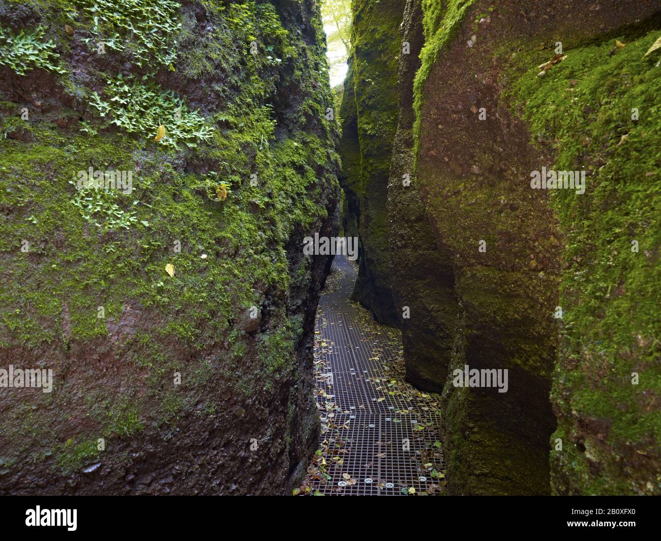 Dragon Gorge near Eisenach, Thuringia, Germany Stock Photo - Alamy