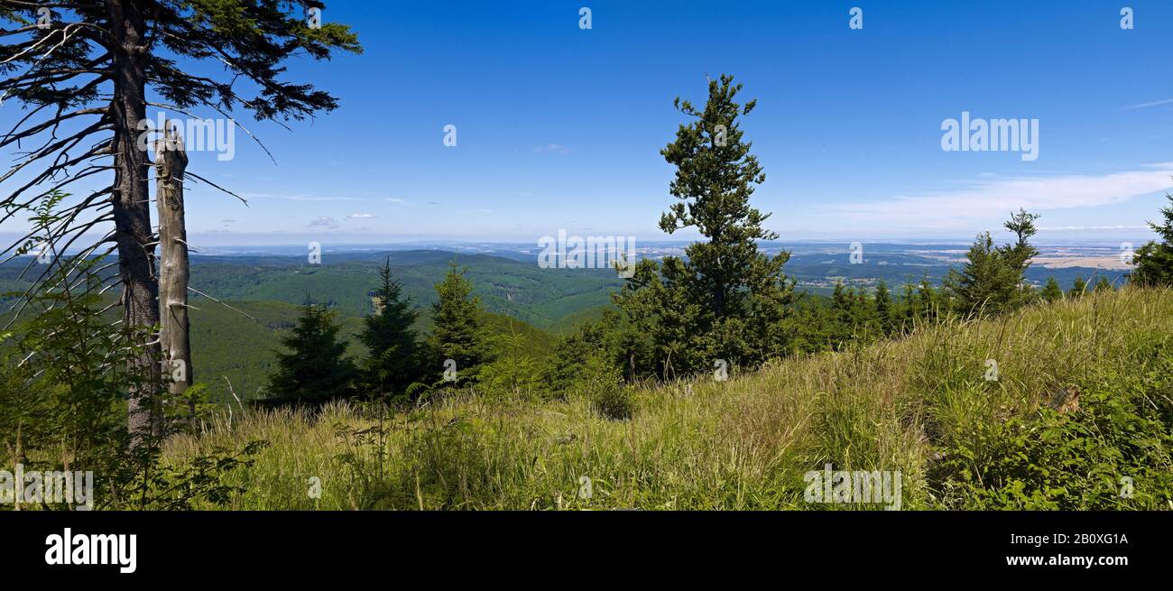 Outside forest view hi-res stock photography and images - Alamy