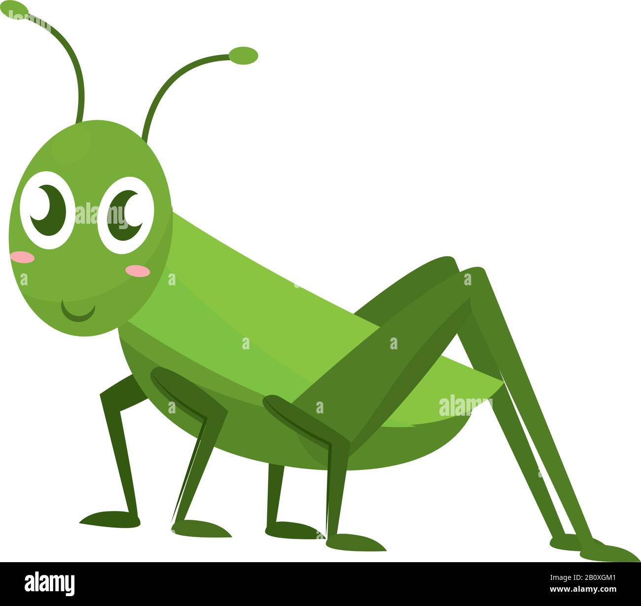 Isolated happy cricket cartoon Stock Vector Image & Art - Alamy