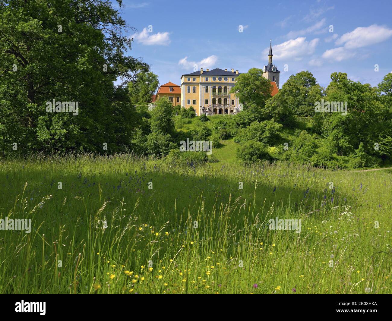 Ettersburg castle hi-res stock photography and images - Alamy