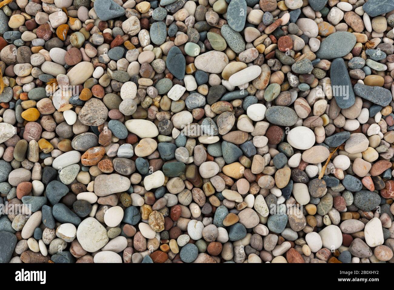 texture of pebble Stock Photo - Alamy
