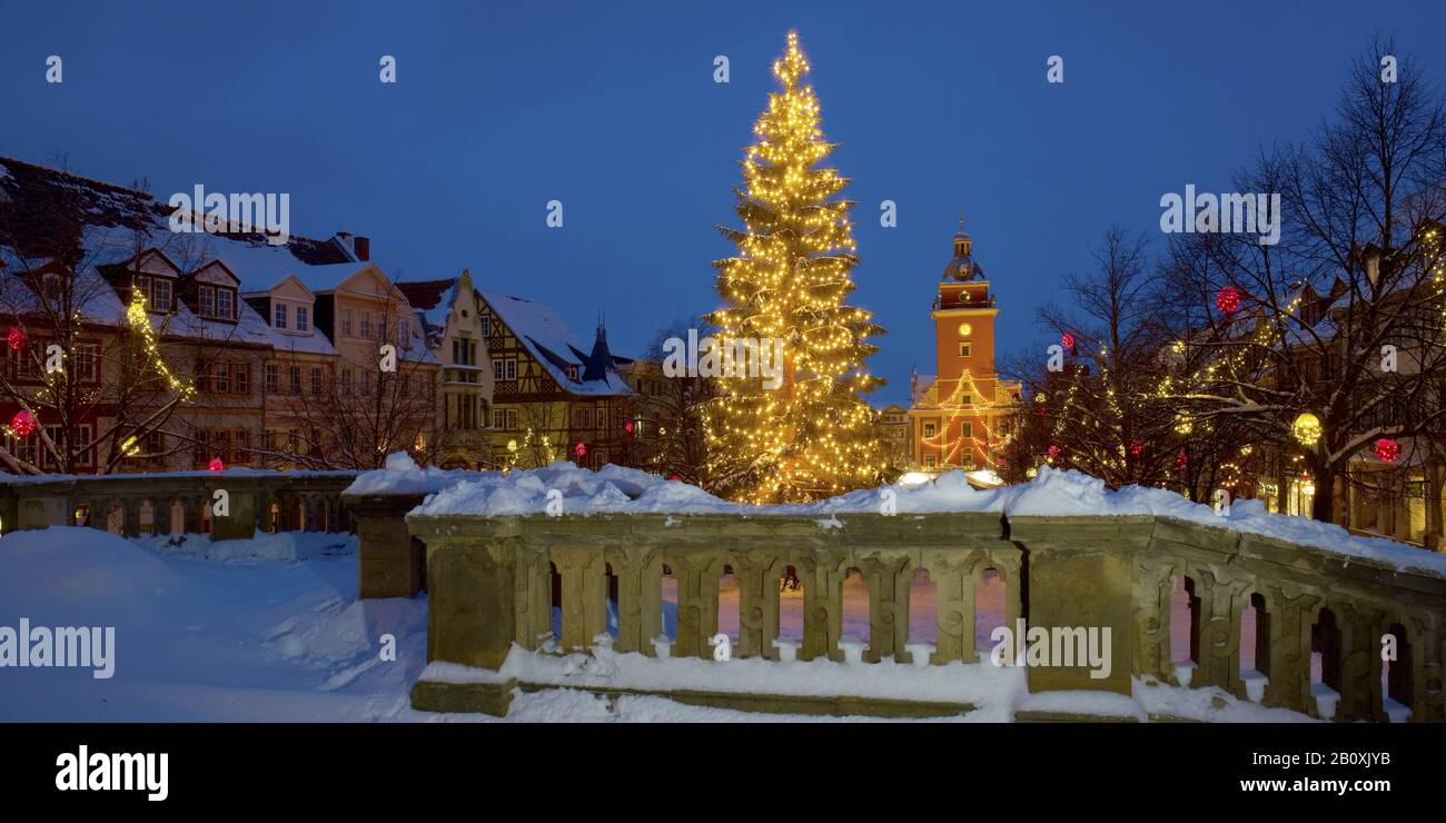 Christmas market with town hall at the main market, Christmas tree ...