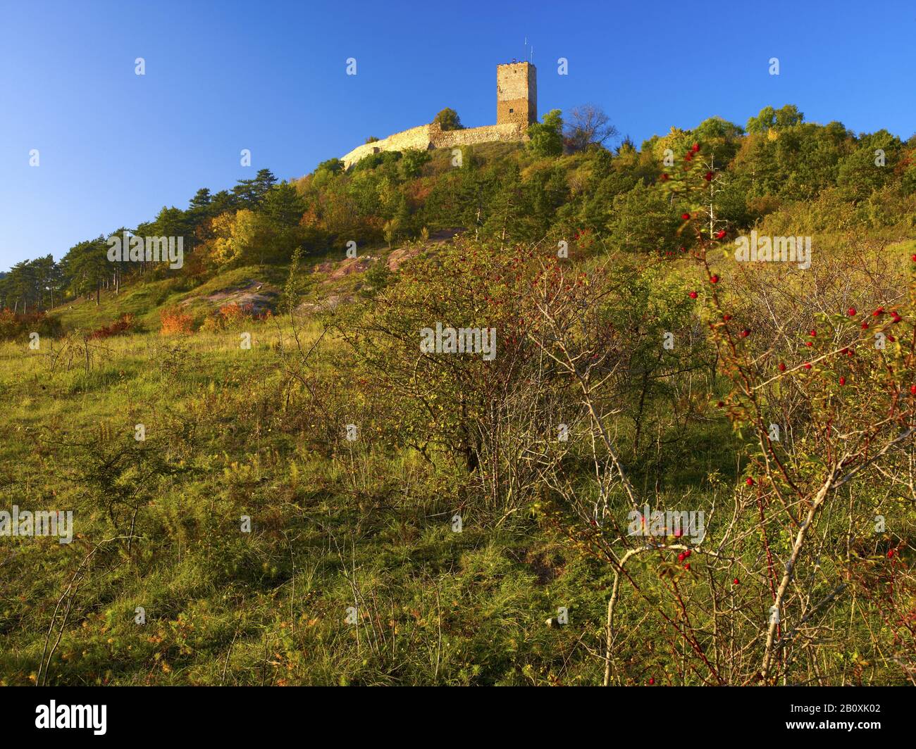 Gleichen Castle High Resolution Stock Photography and Images - Alamy