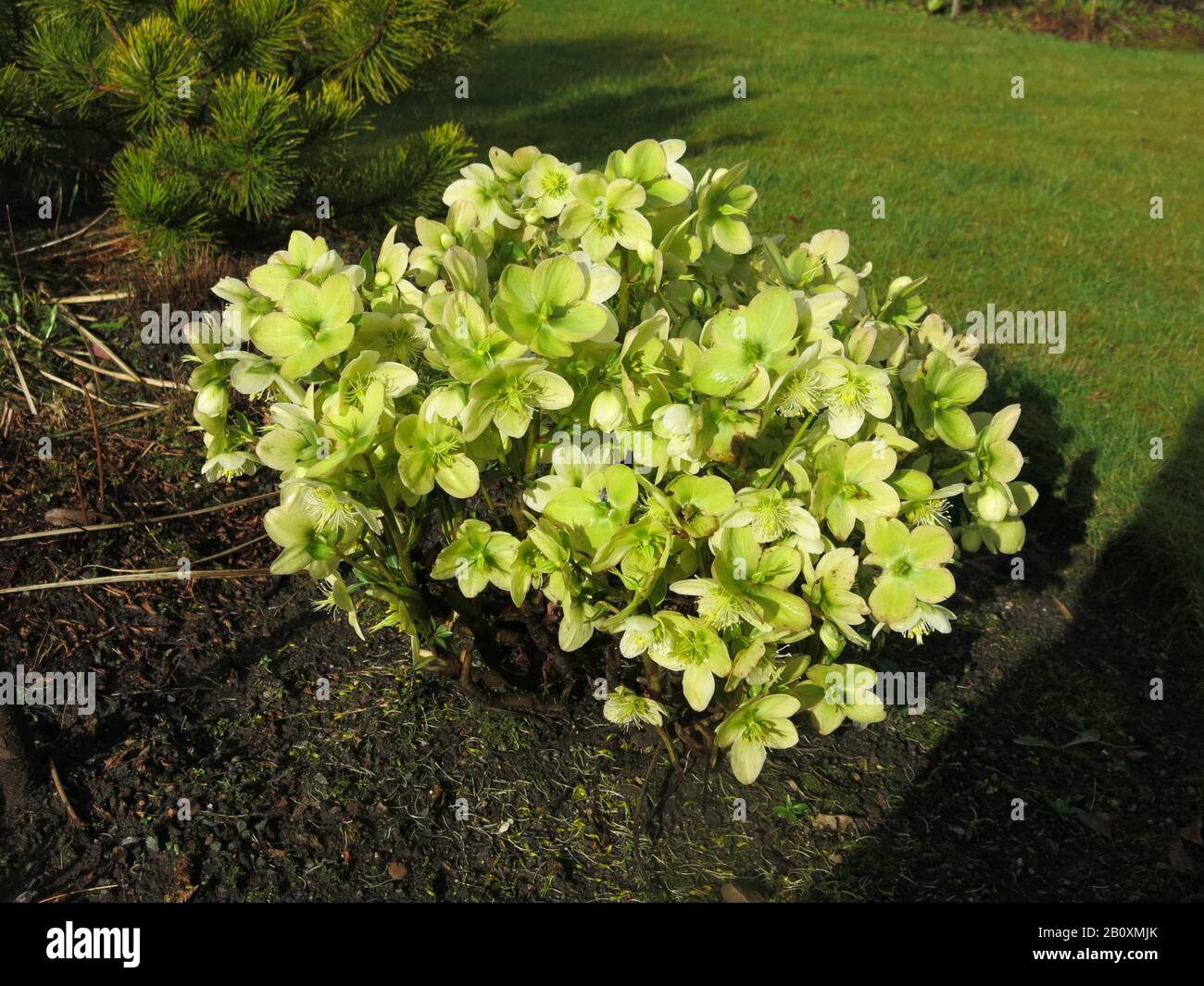 Ice breaker max hi-res stock photography and images - Alamy