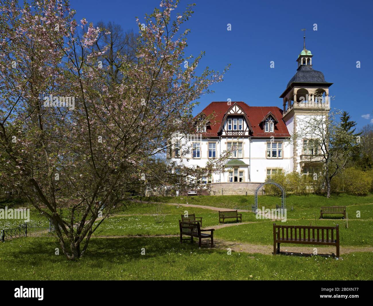 Exterior view of liebenstein castle hi-res stock photography and images ...
