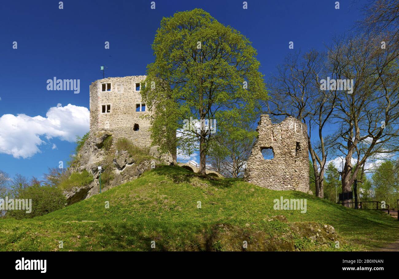 Liebenstein castle ruins near Bad Liebenstein, Thuringia, Germany Stock ...