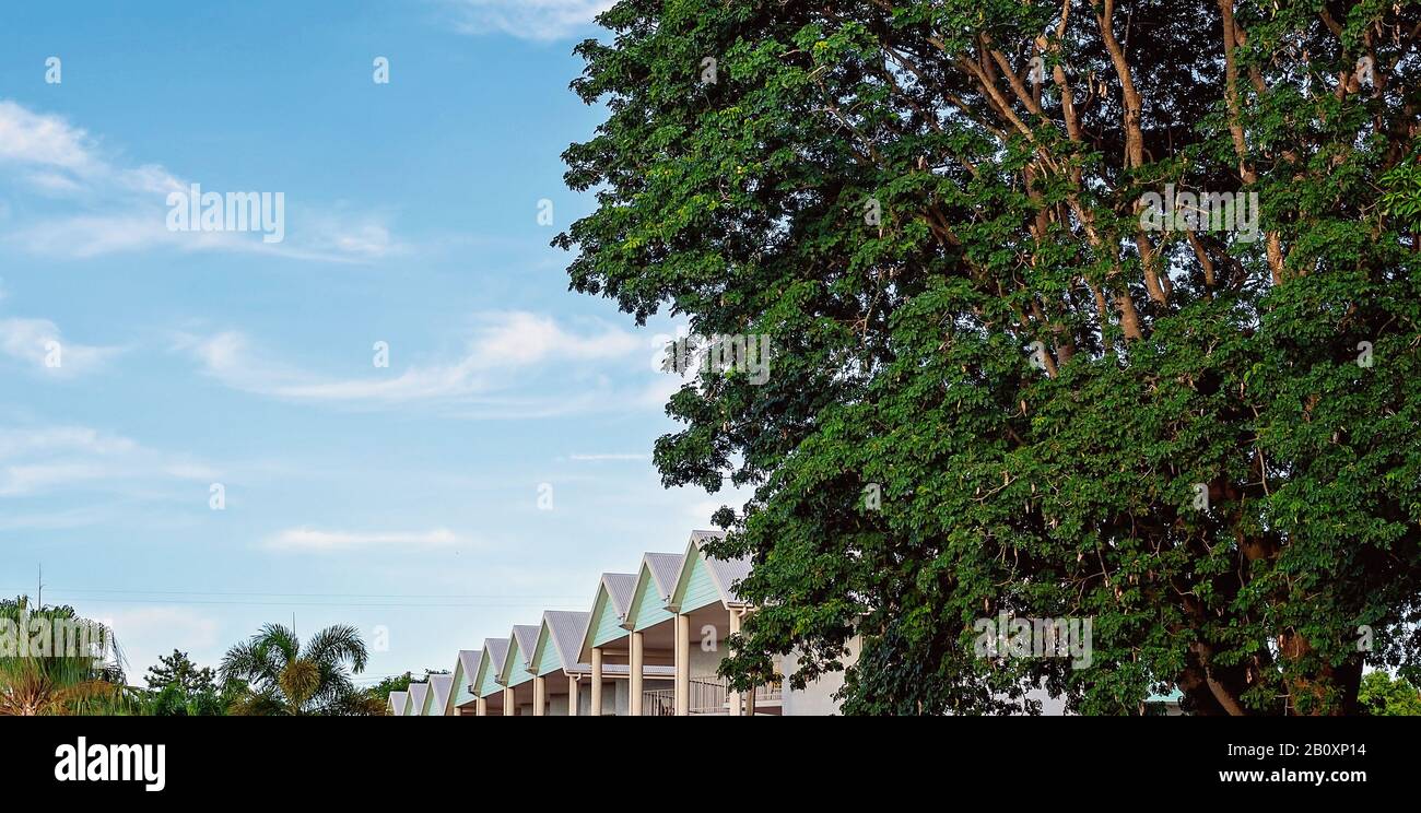 Triangular shaped tree hi-res stock photography and images - Alamy