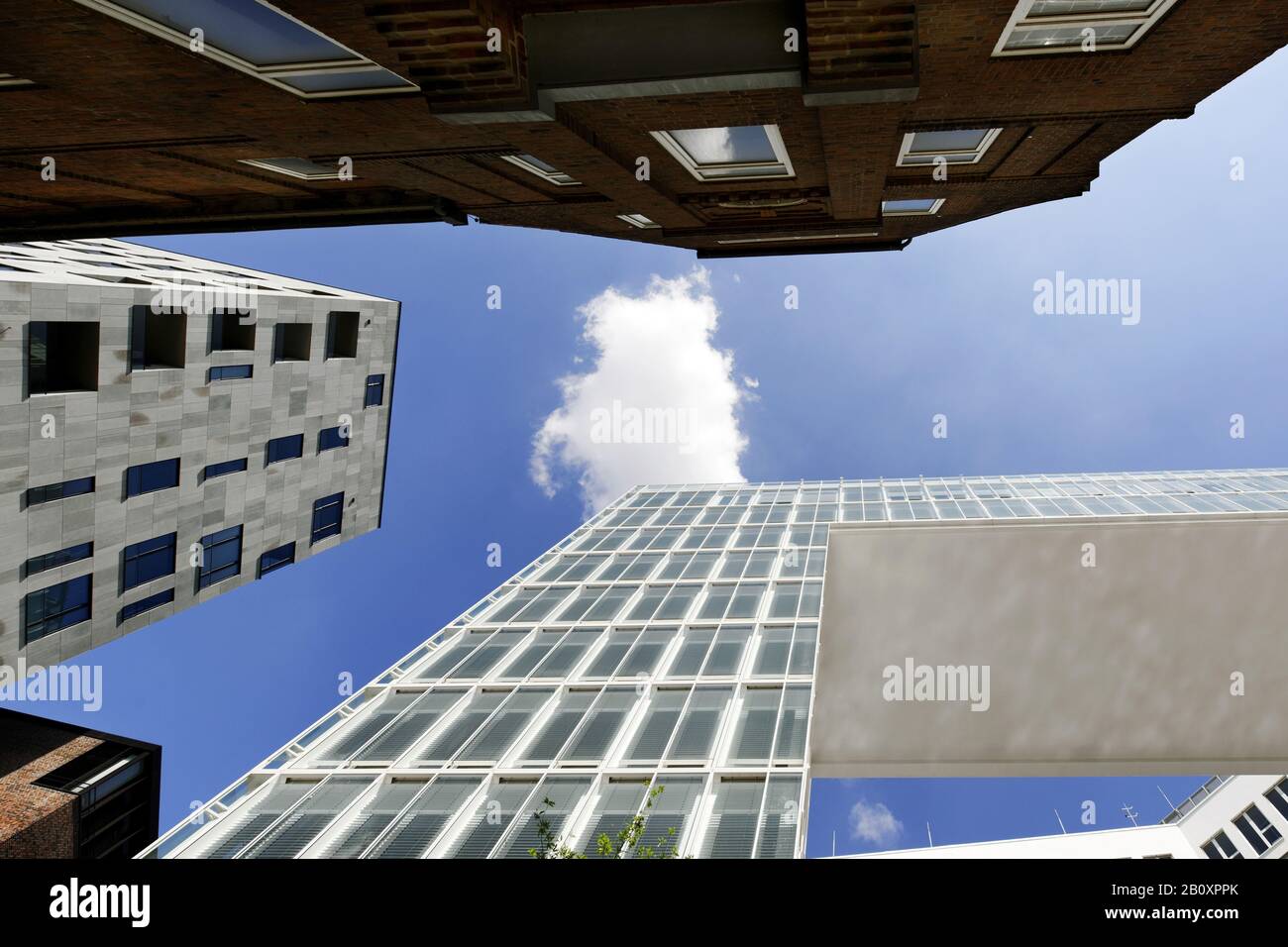 Ericus contor hi-res stock photography and images - Alamy