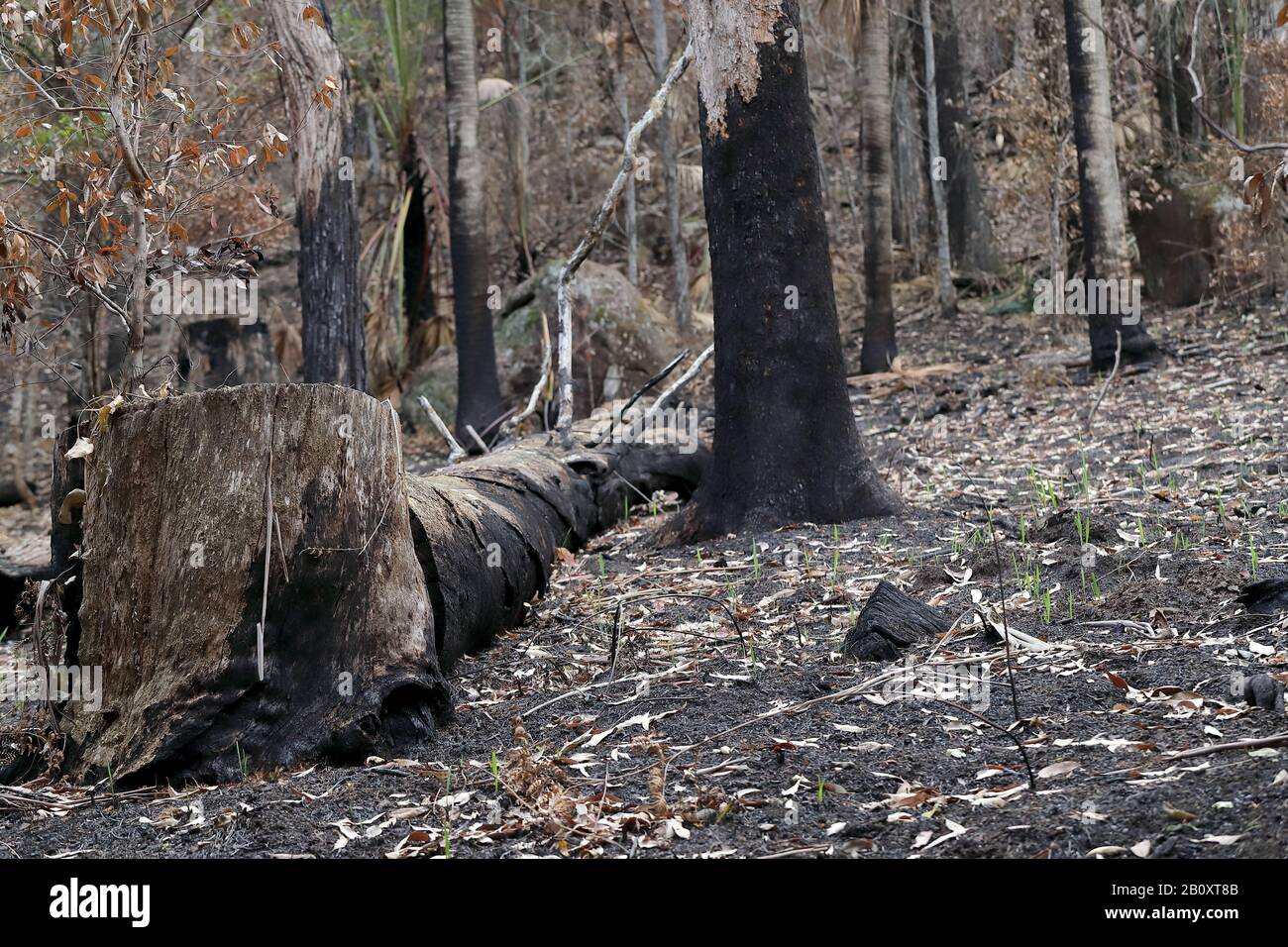 Australian bushfire hi-res stock photography and images - Alamy