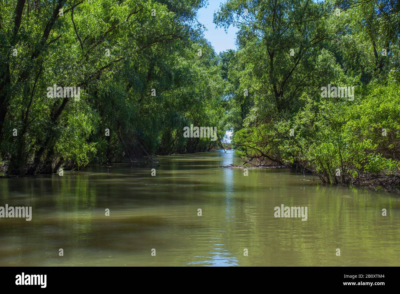 Floodplain forest reserve hi-res stock photography and images - Alamy Floodplain forest reserve hi-res stock photography and images - Alamy