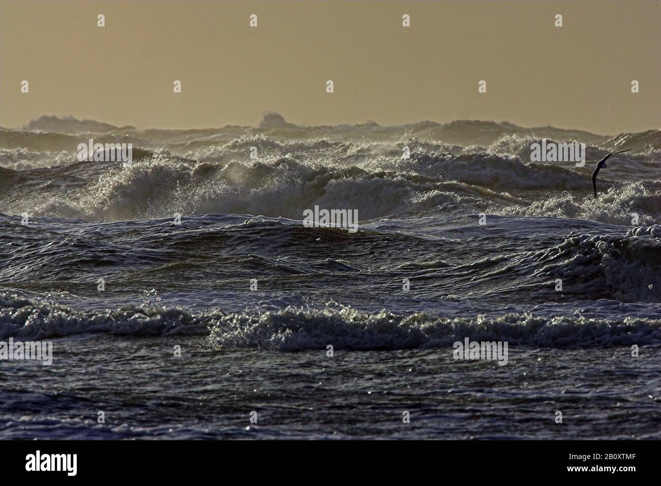 Breaking waves with surf hi-res stock photography and images - Alamy