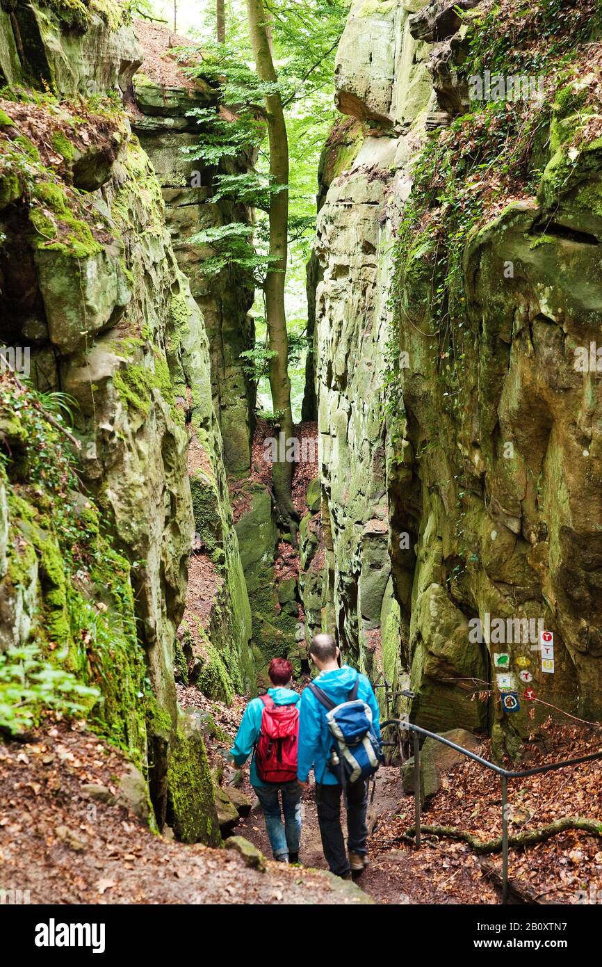 wanderers in the Devil's Gorge in the South Eifel Nature Park, Germany ...