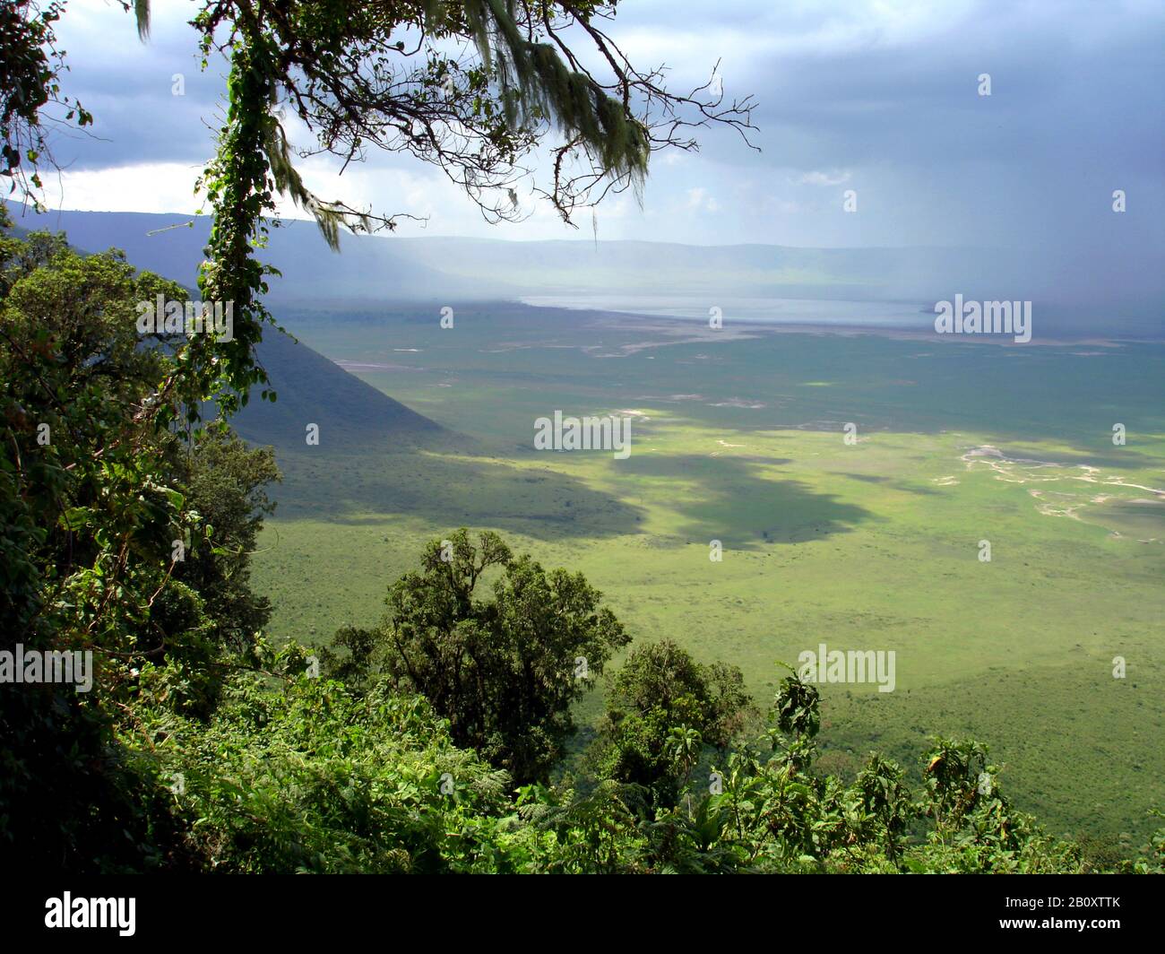 View from the rim at the Ngorongoro Crater, Tanzania, Ngorongoro ...