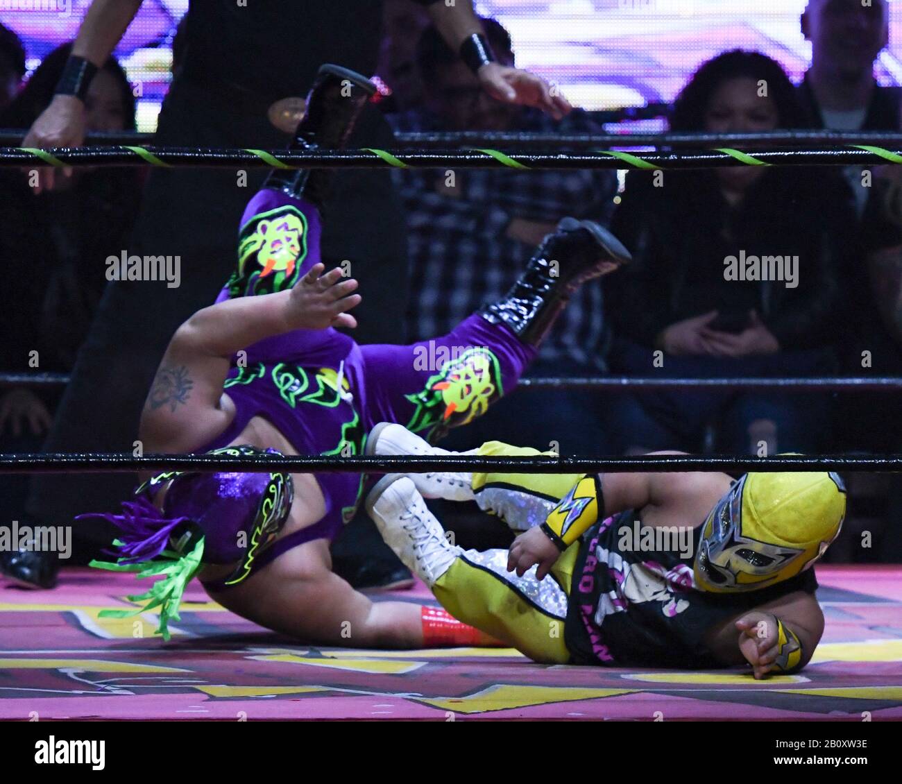 February 14, 2020, Los Angeles, California, USA: Micro Man and Ponchos ...