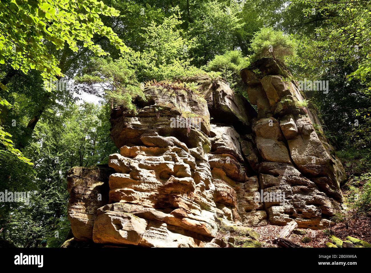 rock formation of the Devil's Gorge in the South Eifel Nature Park ...