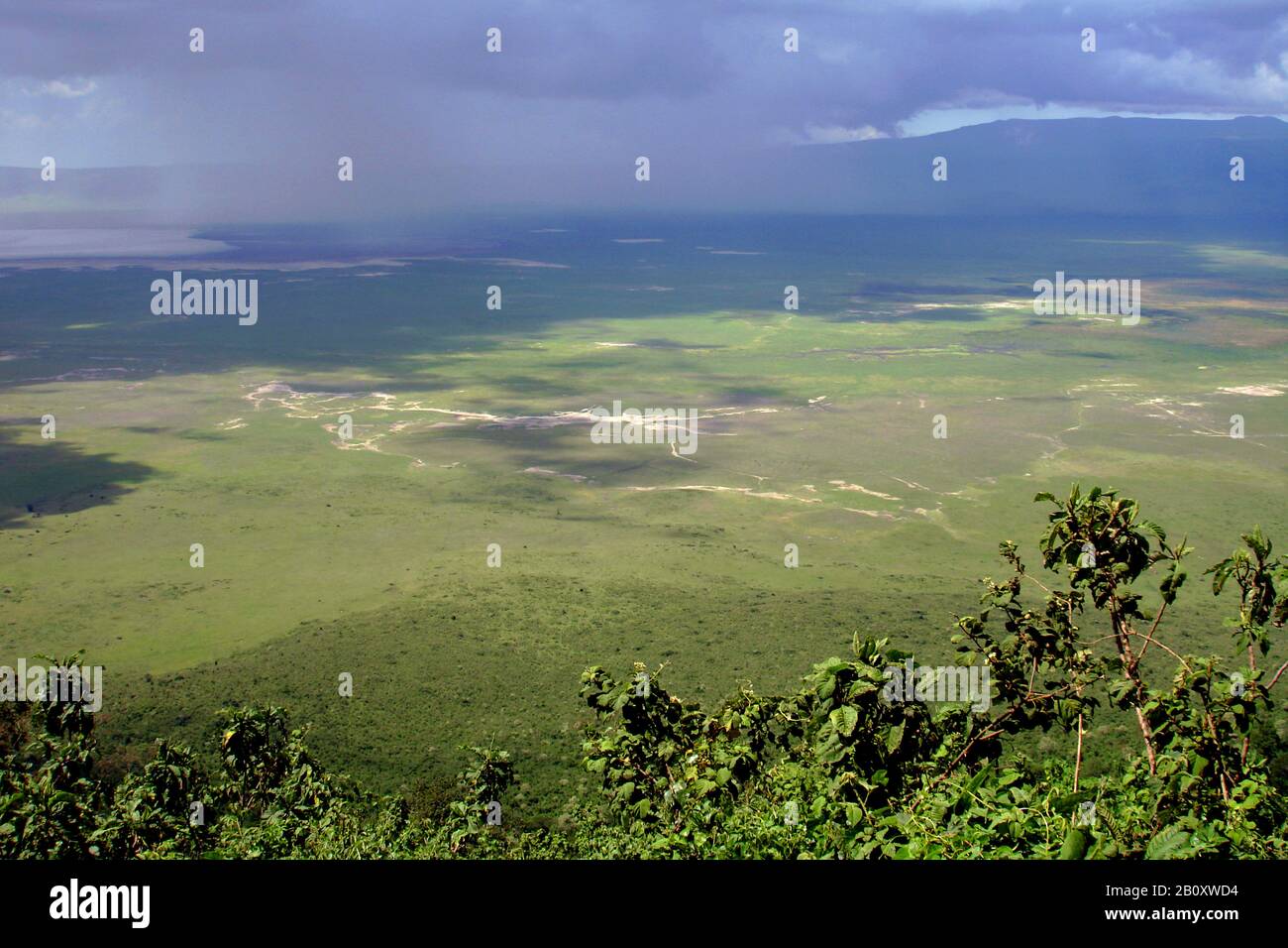 View from the rim at the Ngorongoro Crater, Tanzania, Ngorongoro ...
