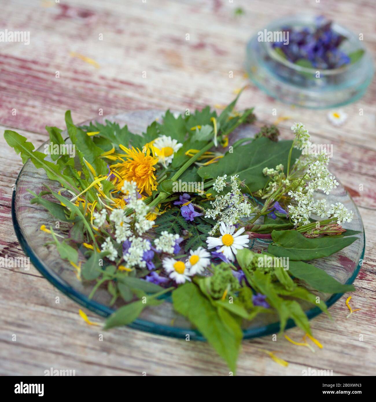 Spring of herbs hi-res stock photography and images - Alamy