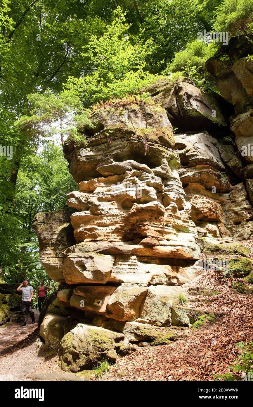 rock formation of the Devil's Gorge in the South Eifel Nature Park ...