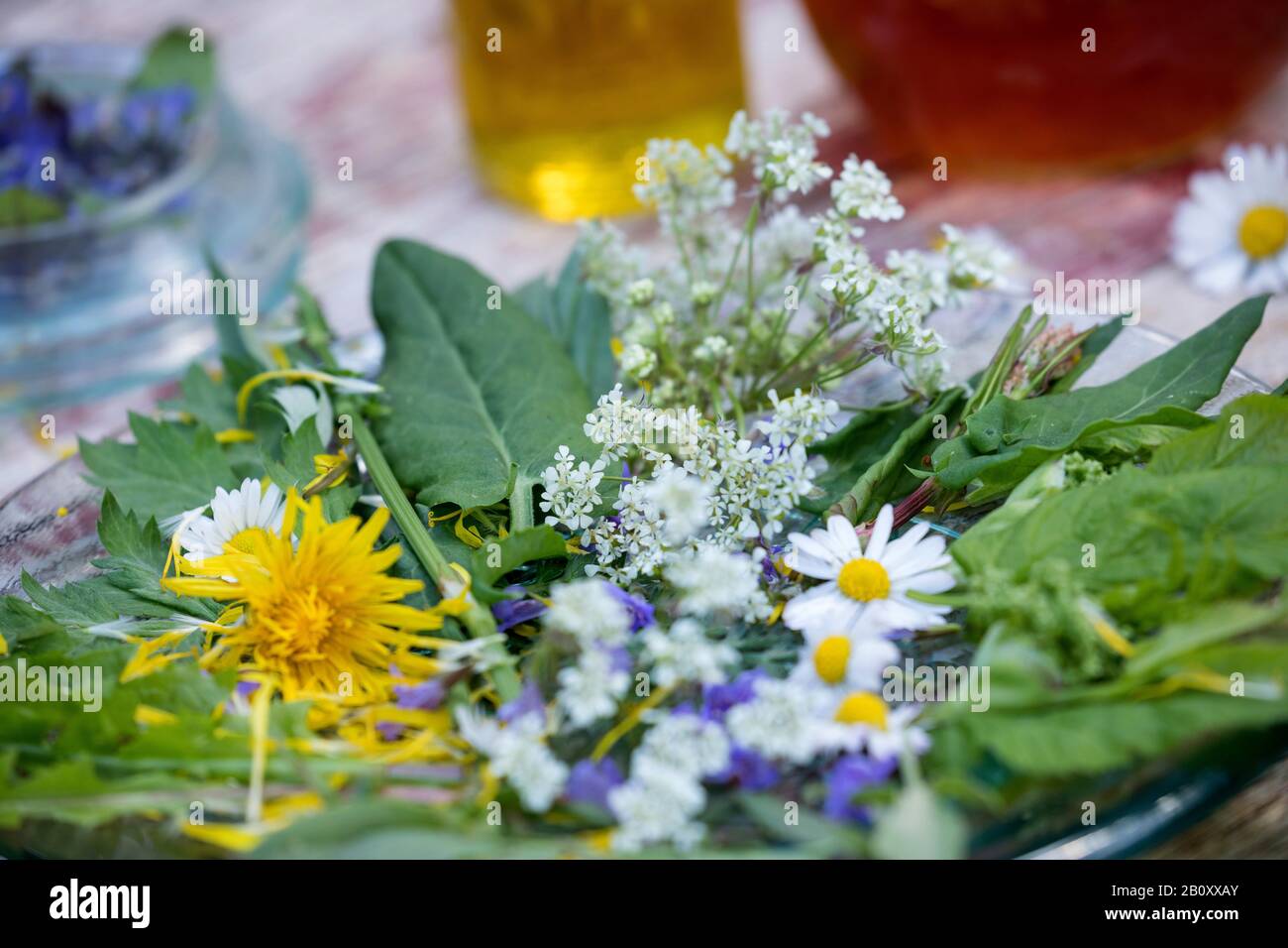 Lettuce herbs hi-res stock photography and images - Alamy