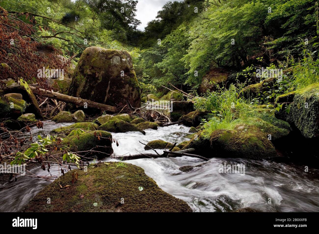 rapids called Irreler Wasserfaelle of the South Eifel Nature Park ...