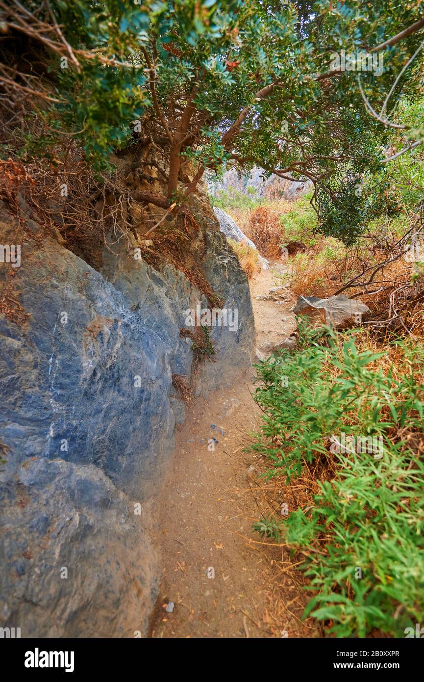 Preveli lagoon crete hi-res stock photography and images - Alamy
