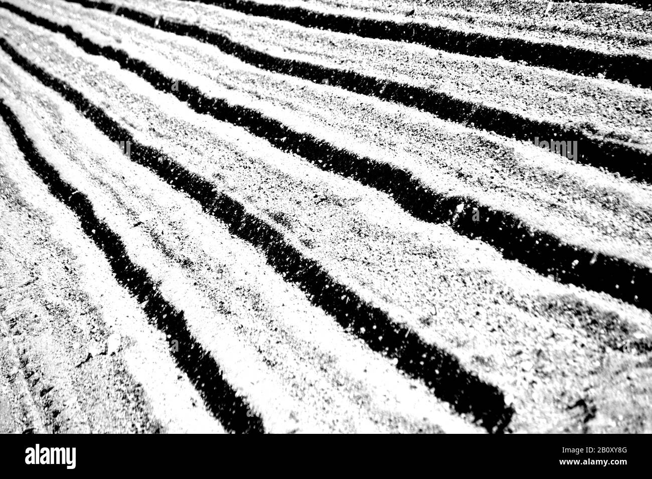 Black and white image that forms a pattern of black lines that meet at ...