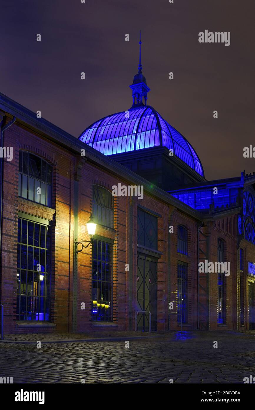 Blue Port, fish auction hall in blue neon light, art project by Michael ...